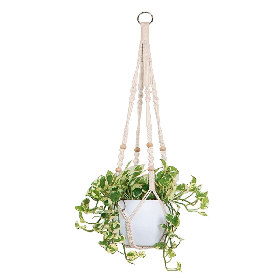 Plant Pot Hanger, Angel Vine Plant Holder, Pothos Variegated Hanger ...