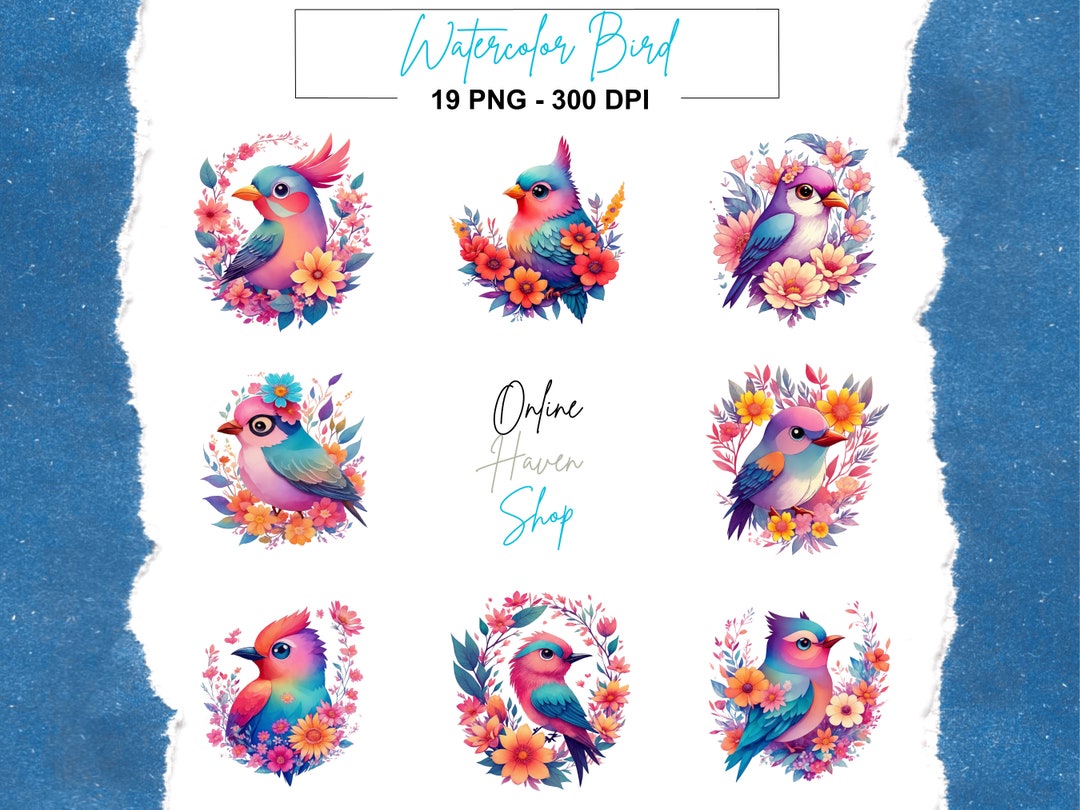 Watercolor Birds Clipart 19 Bundle Clipart 300 DPI PNG Digital File ...