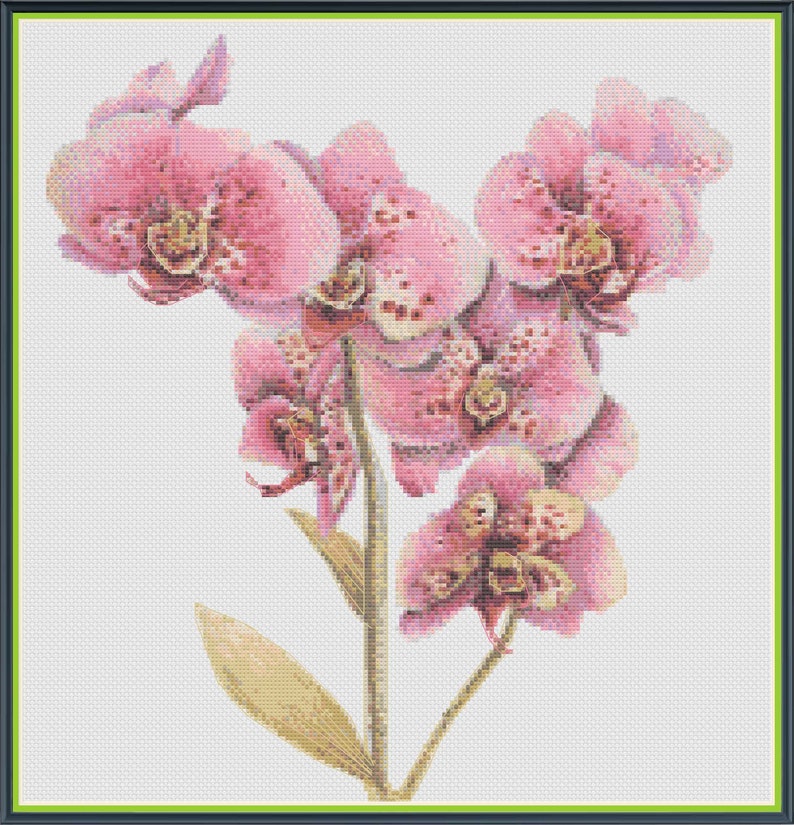 Orchid 1 Counted Cross Stitch Pattern CHART ONLY - Etsy