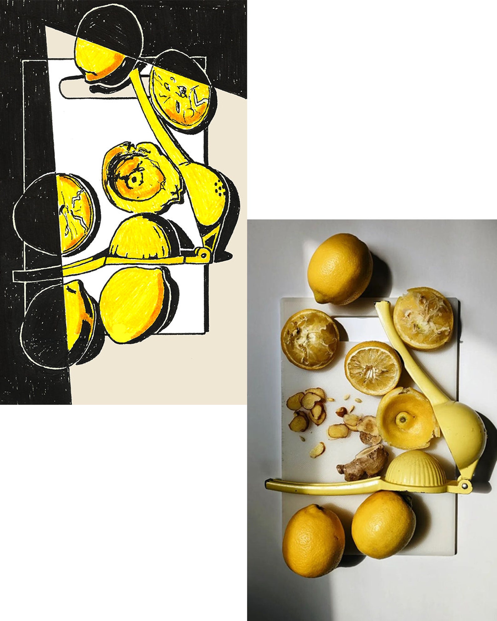 Digital Download - Lemon Illustration Print - Etsy