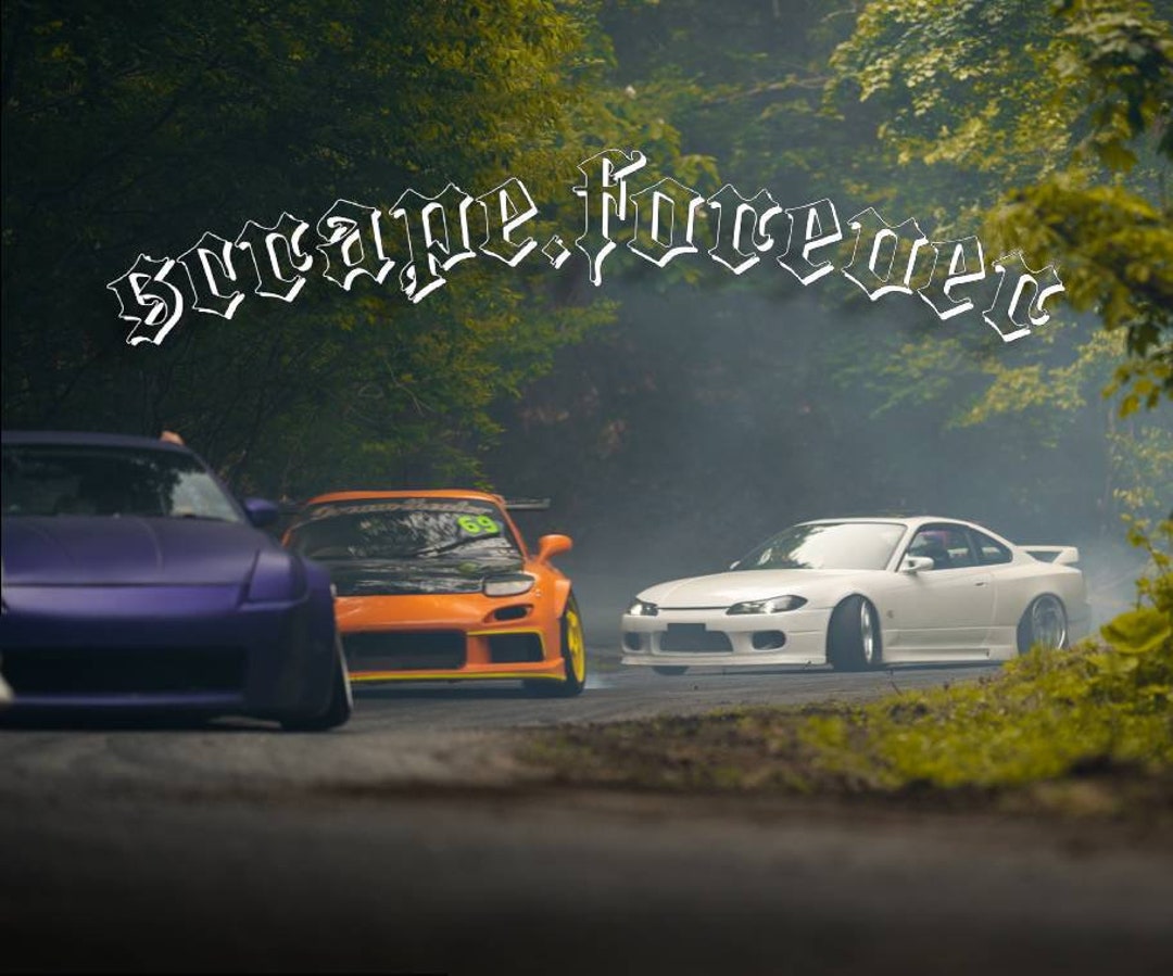 Window Decal Nightlife Scrape Forever Curved slammed - Etsy