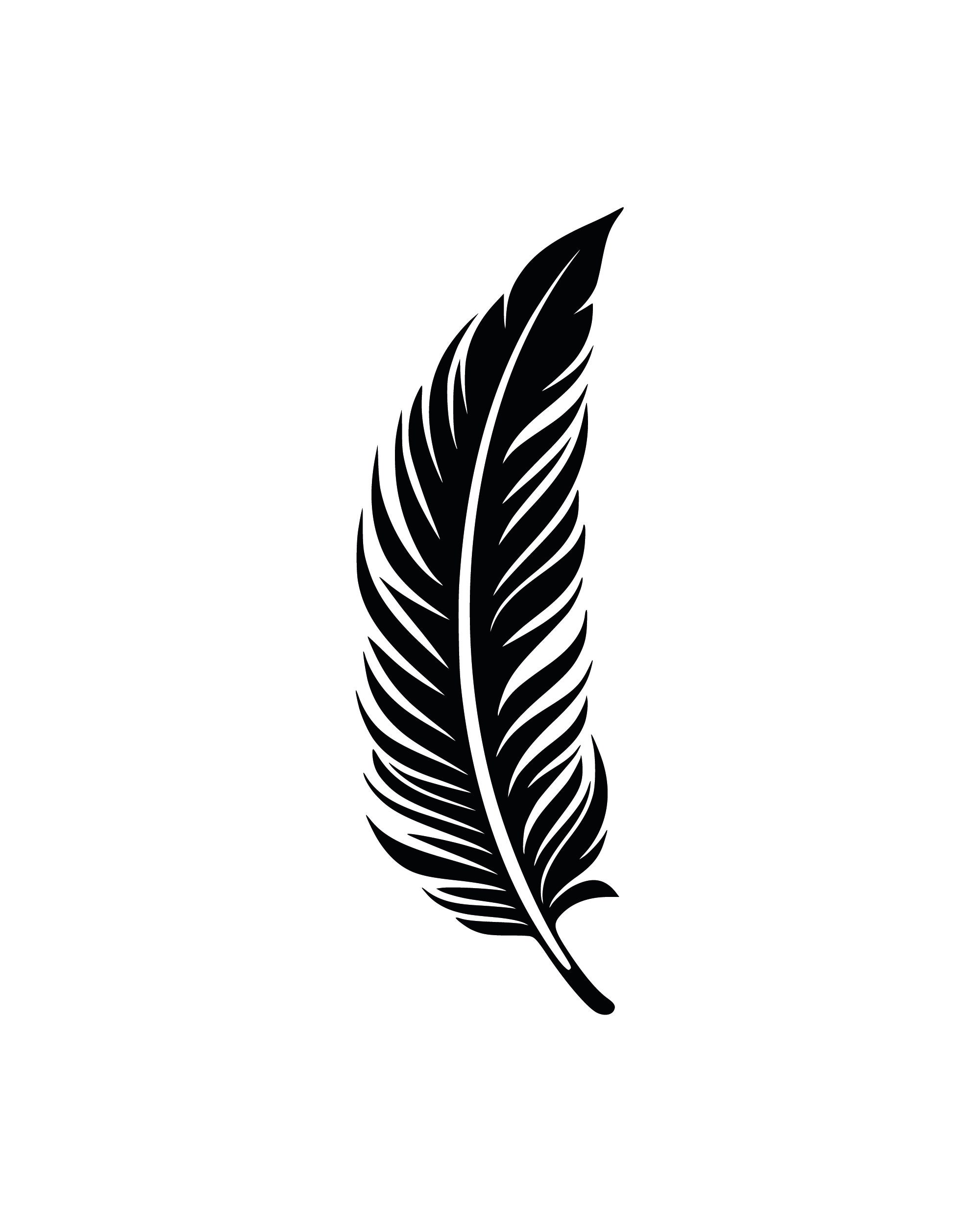 Simple Curved Feather Drawing