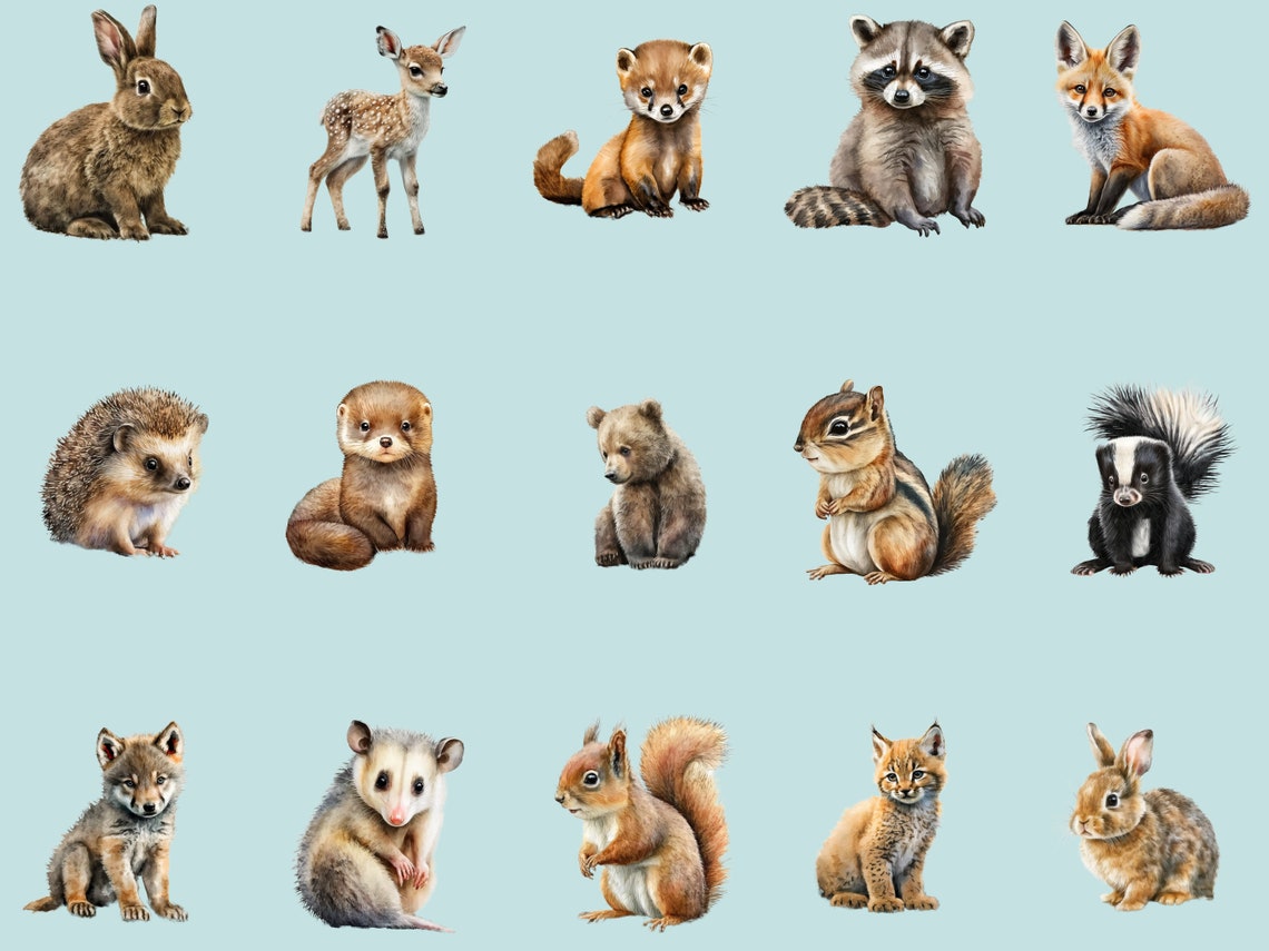 Forest Friends Clipart, Animals Watercolor Clipart, Animals, Cubs ...