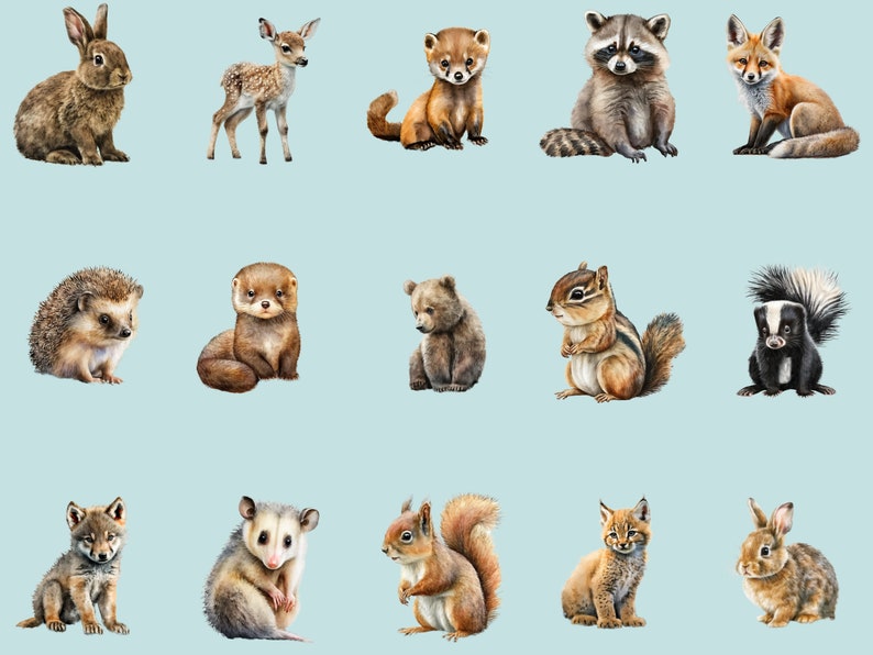 Forest Friends Clipart, Animals Watercolor Clipart, Animals, Cubs ...