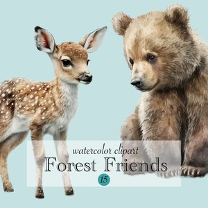 Forest Friends Clipart, Animals Watercolor Clipart, Animals, Cubs ...