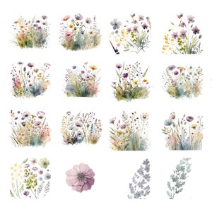 50 Watercolor Meadow Flowers Floral Clipart Bundle, Floral Border Set ...