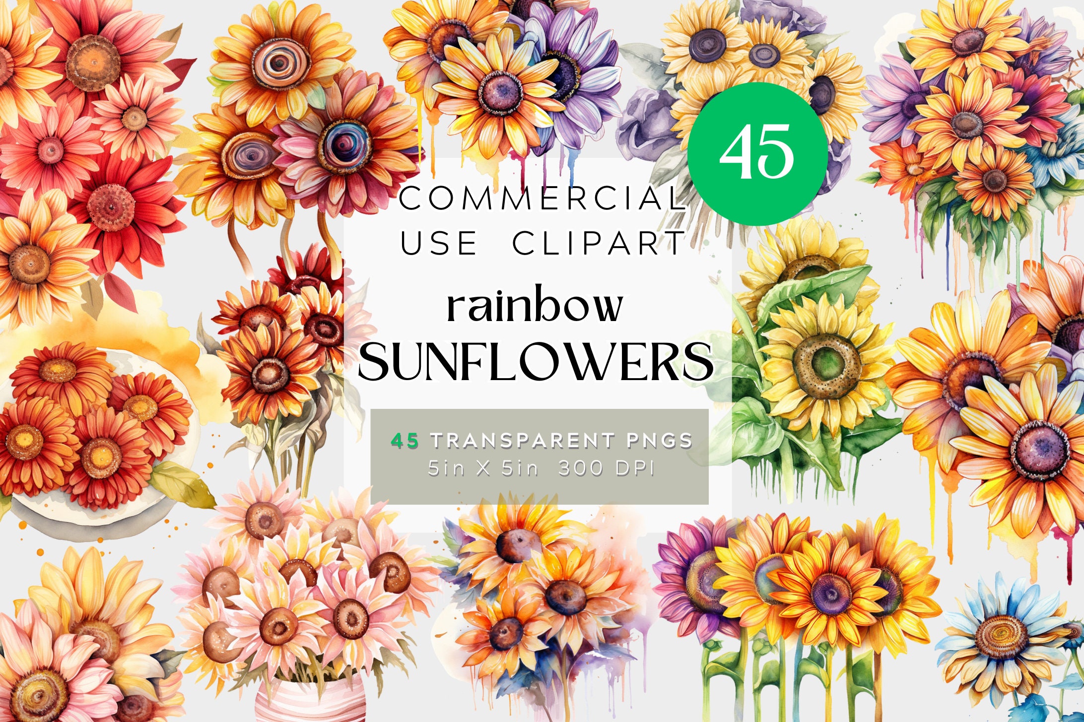 45 Rainbow Sunflower Watercolor Clipart, BUNDLE PNG, Transparent ...