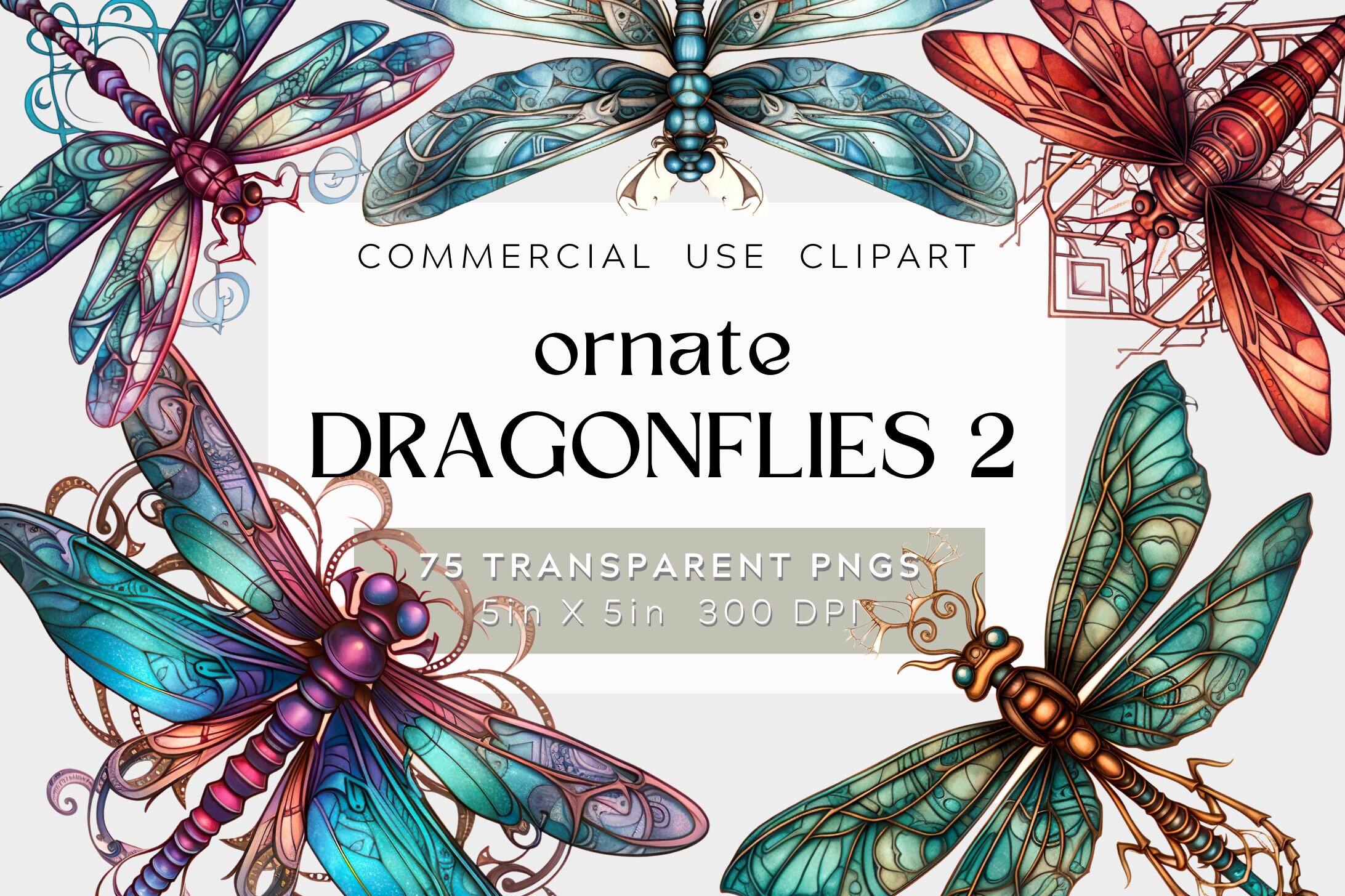 75 Ornate Dragonfly Graphic Design Bundle Watercolor - Etsy