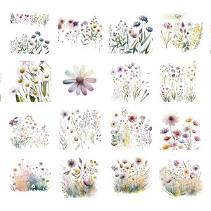 50 Watercolor Meadow Flowers Floral Clipart Bundle, Floral Border Set ...