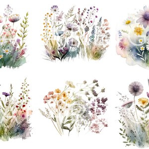 50 Watercolor Meadow Flowers Floral Clipart Bundle, Floral Border Set ...