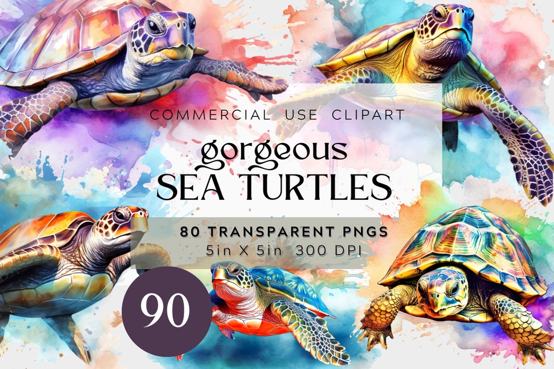 90 PNG Watercolor Stunning Sea Turtle Clipart Bundle, Realistic and ...