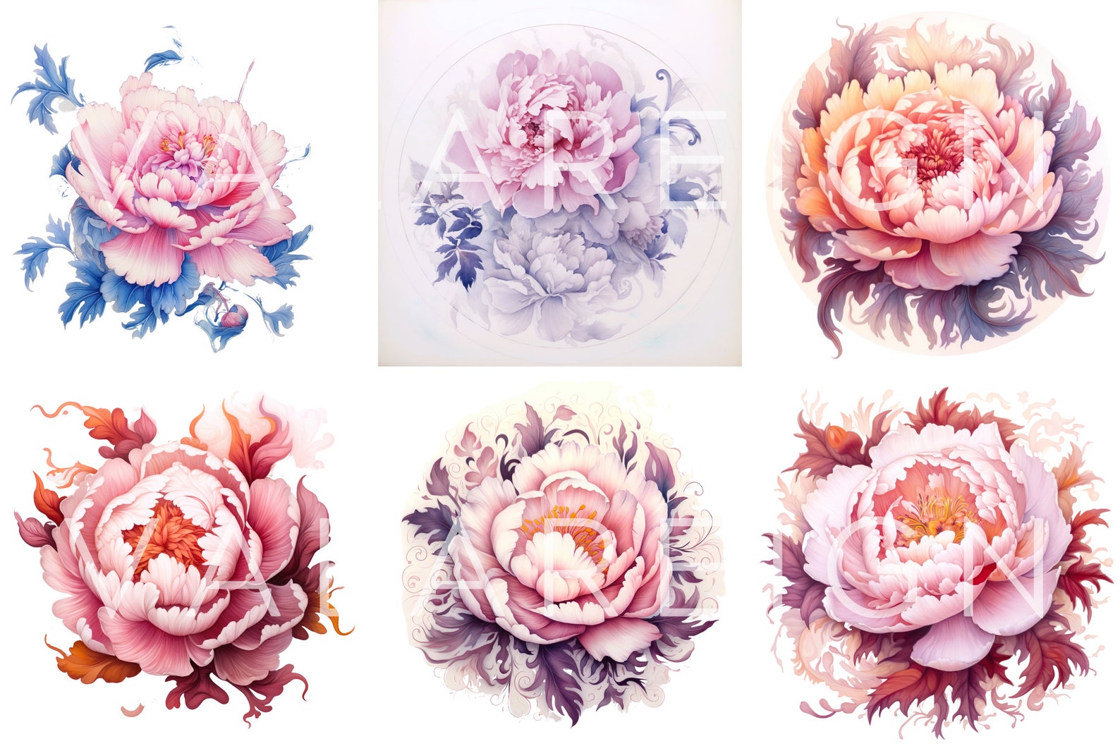 50 Peony Flower Floral Clipart Bundle, Floral Border Set, Peonies Png ...