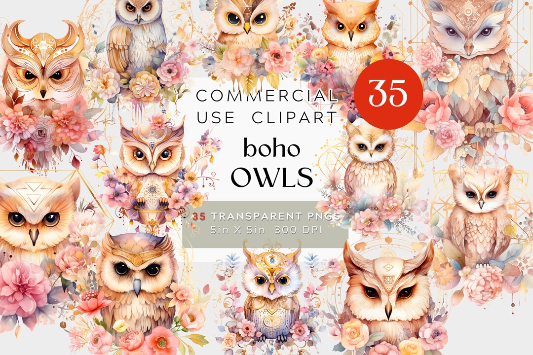 Boho Owls Watercolor Clipart Bundle, Geometric and Colorful Pretty OWLS ...