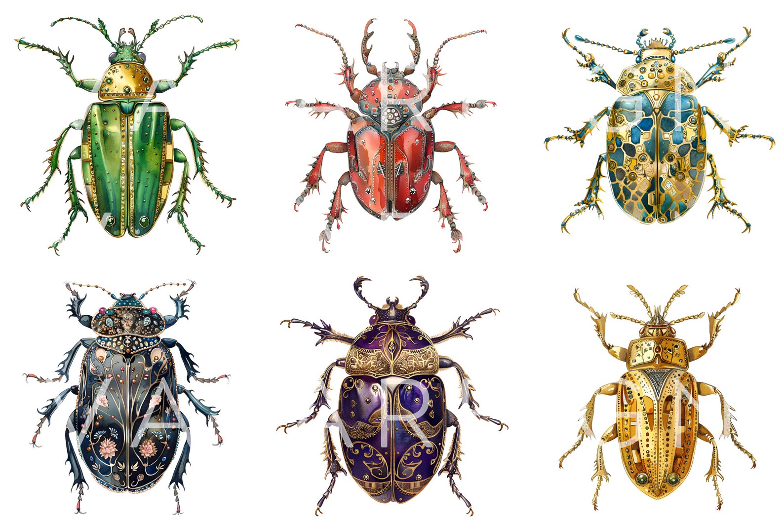 Ornate Scarab Beetle Graphic Design Bundle, Watercolor Illustration ...