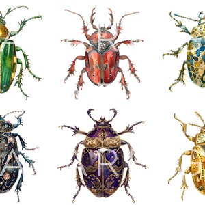 Ornate Scarab Beetle Graphic Design Bundle, Watercolor Illustration ...