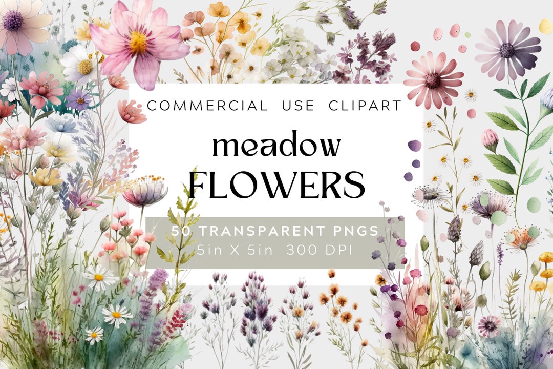 50 Watercolor Meadow Flowers Floral Clipart Bundle, Floral Border Set ...