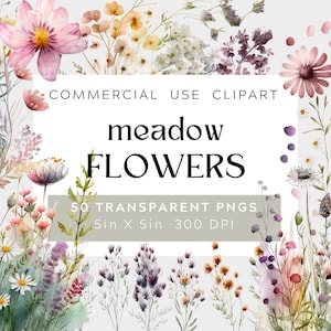 50 Watercolor Meadow Flowers Floral Clipart Bundle, Floral Border Set ...