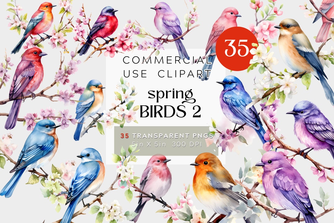 Watercolor Birds Clipart BUNDLE PNG Transparent Background, 300DPI ...