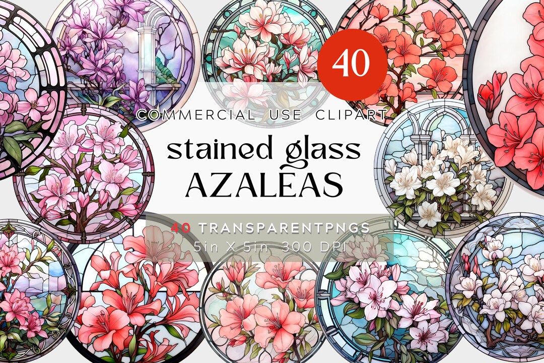 PNG Stained Glass Azalea Clipart, Mandala Watercolor BUNDLE Cathedral ...