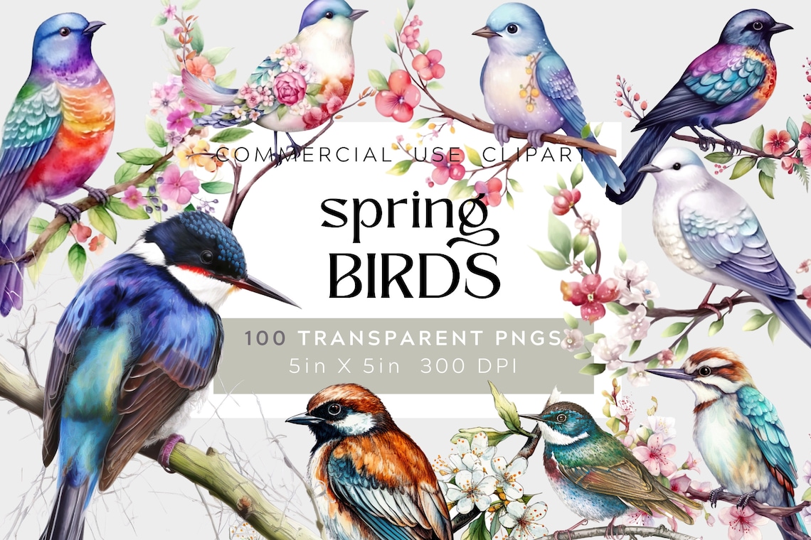 100 Watercolor Birds Clipart Bundle Spring Birds Clipart - Etsy