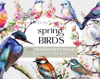 52 Watercolor Bird Clipart Bundle, Spring Birds Clipart, Birds Bundle ...