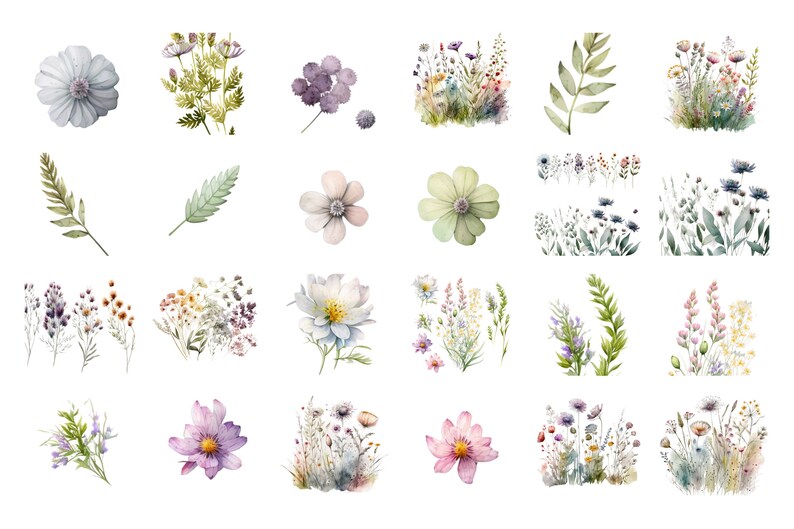 50 Watercolor Meadow Flowers Floral Clipart Bundle Floral - Etsy
