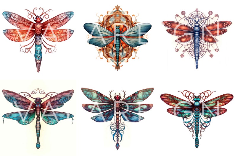 75 Ornate Dragonfly Graphic Design Bundle 2, Watercolor Illustration ...