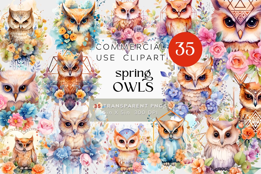 Spring Owls Watercolor Clipart Bundle, Geometric Pretty OWLS ...