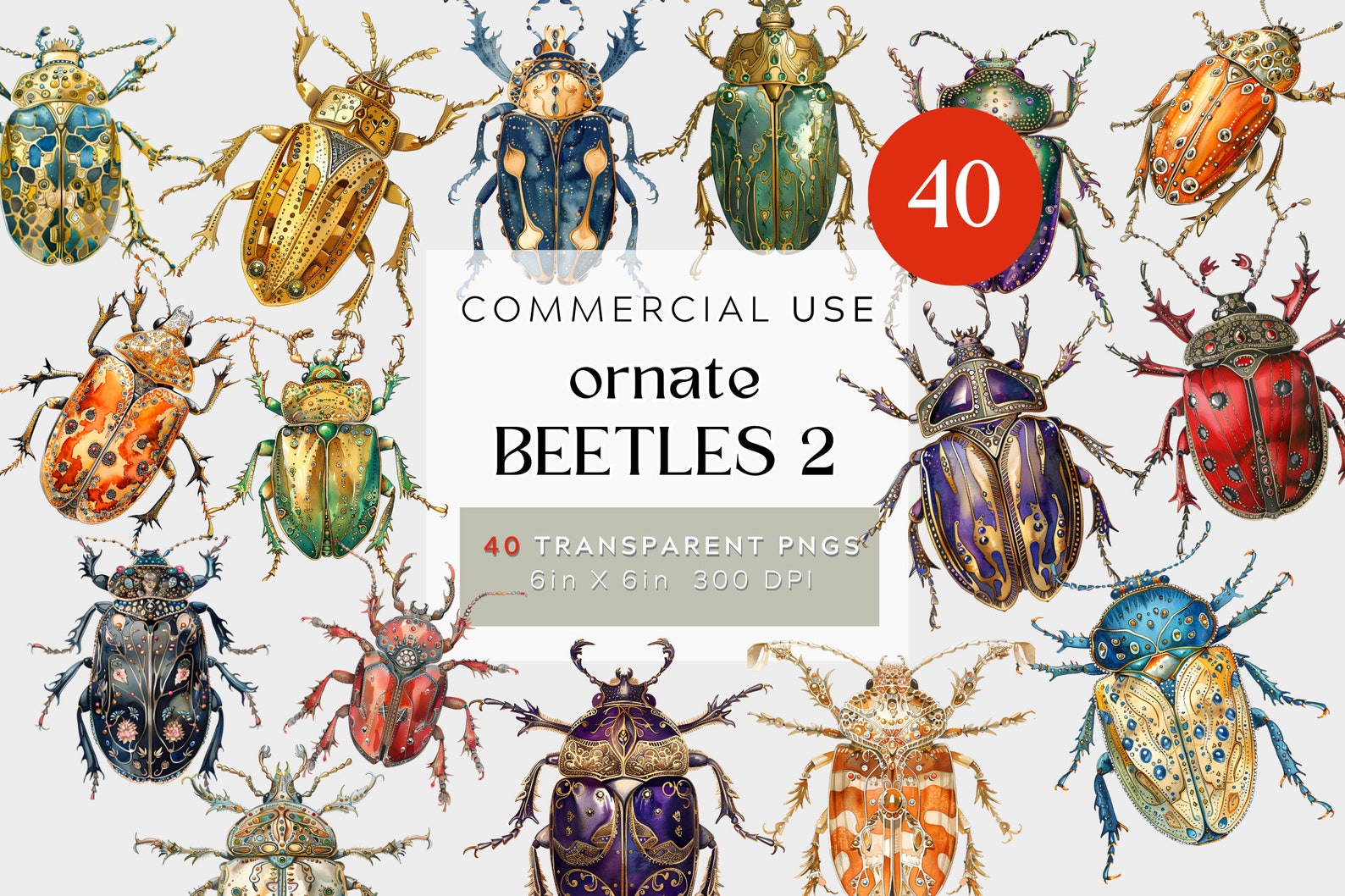 Ornate Scarab Beetle Graphic Design Bundle, Watercolor Illustration ...
