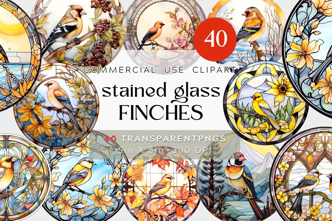 Stained Glass Finch Designs, Mandala Watercolor Clipart BUNDLE Stained ...