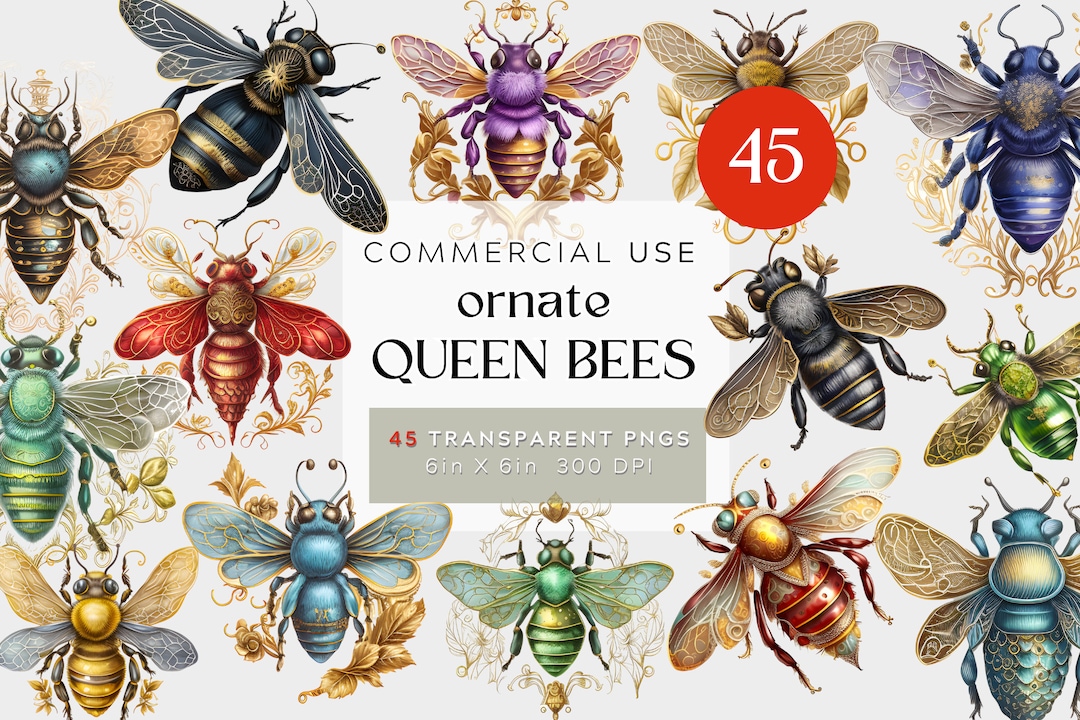 Ornate Queen Bee Graphic Design Bundle, Watercolor Illustration ...