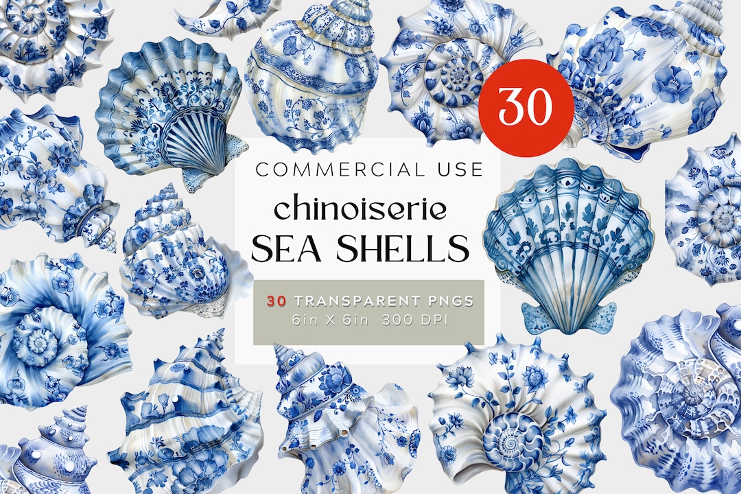 Chinoiserie Sea Shells, Watercolor Clipart BUNDLE PNG, Transparent ...