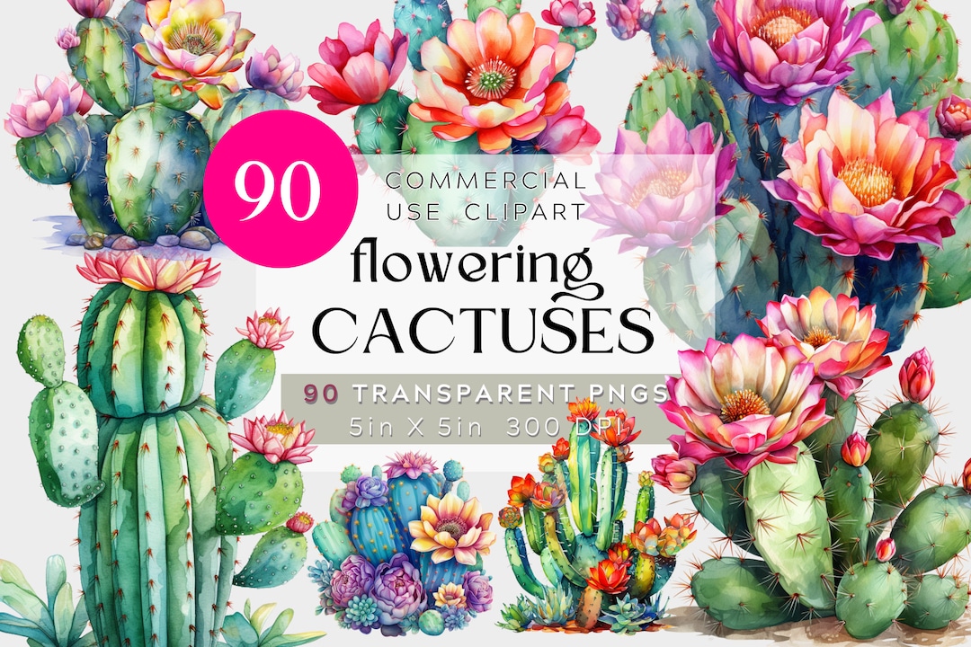 90 PNG Cactus Clipart, Pretty Flowering Cacti, Transparent Clipart ...