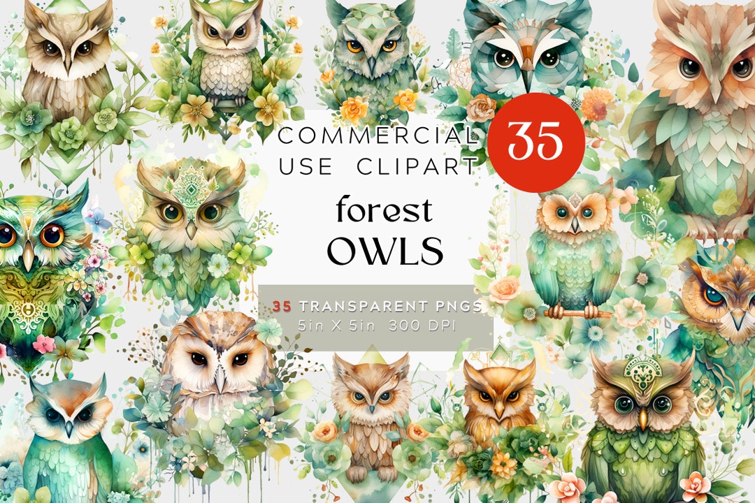 Forest Owls Watercolor Clipart Bundle, Geometric Night OWLS, Commercial ...