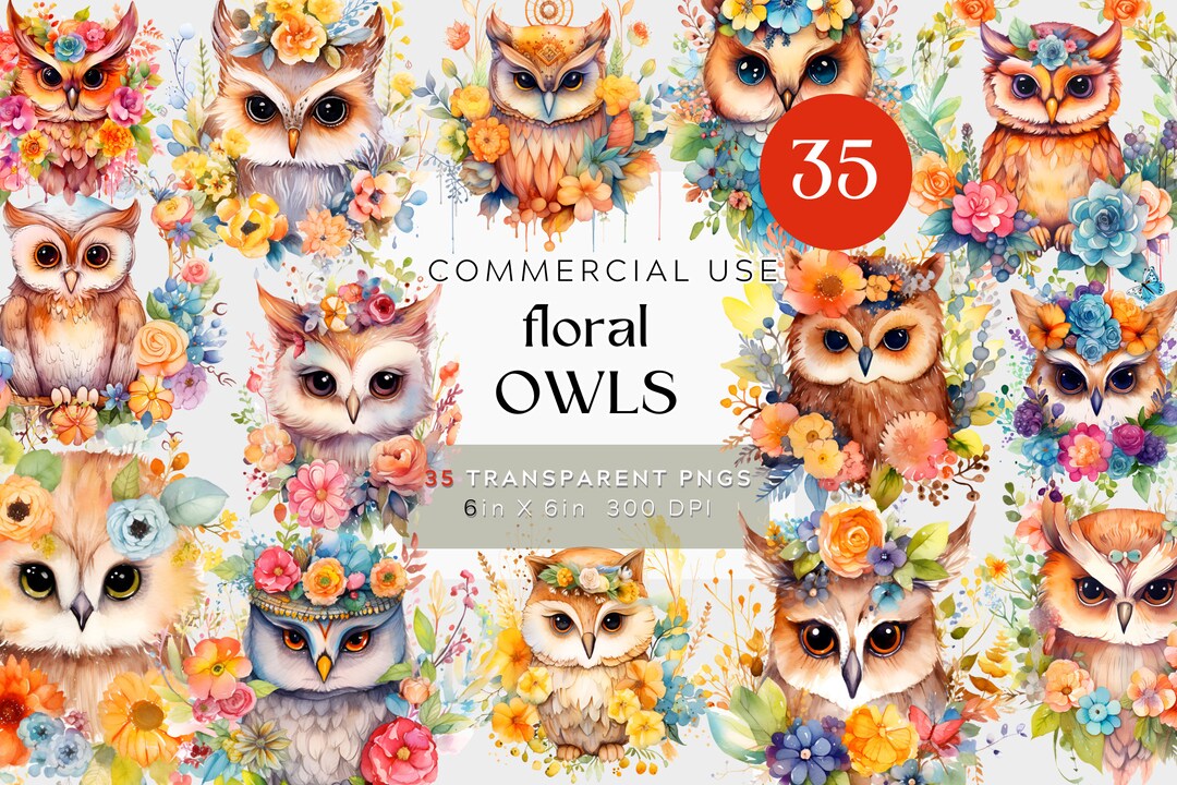 Floral Owls Watercolor Clipart Bundle, Geometric Pretty OWLS ...