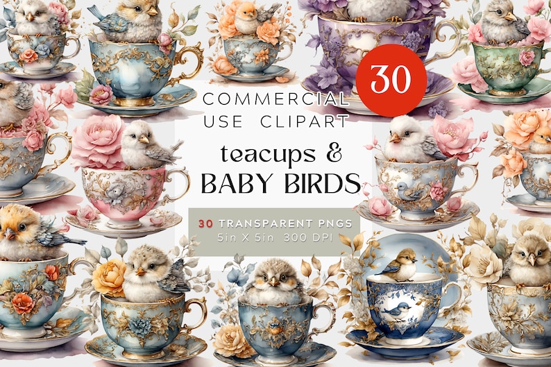 Baby Birds in Teacups, Watercolor Clipart BUNDLE PNG Transparent ...