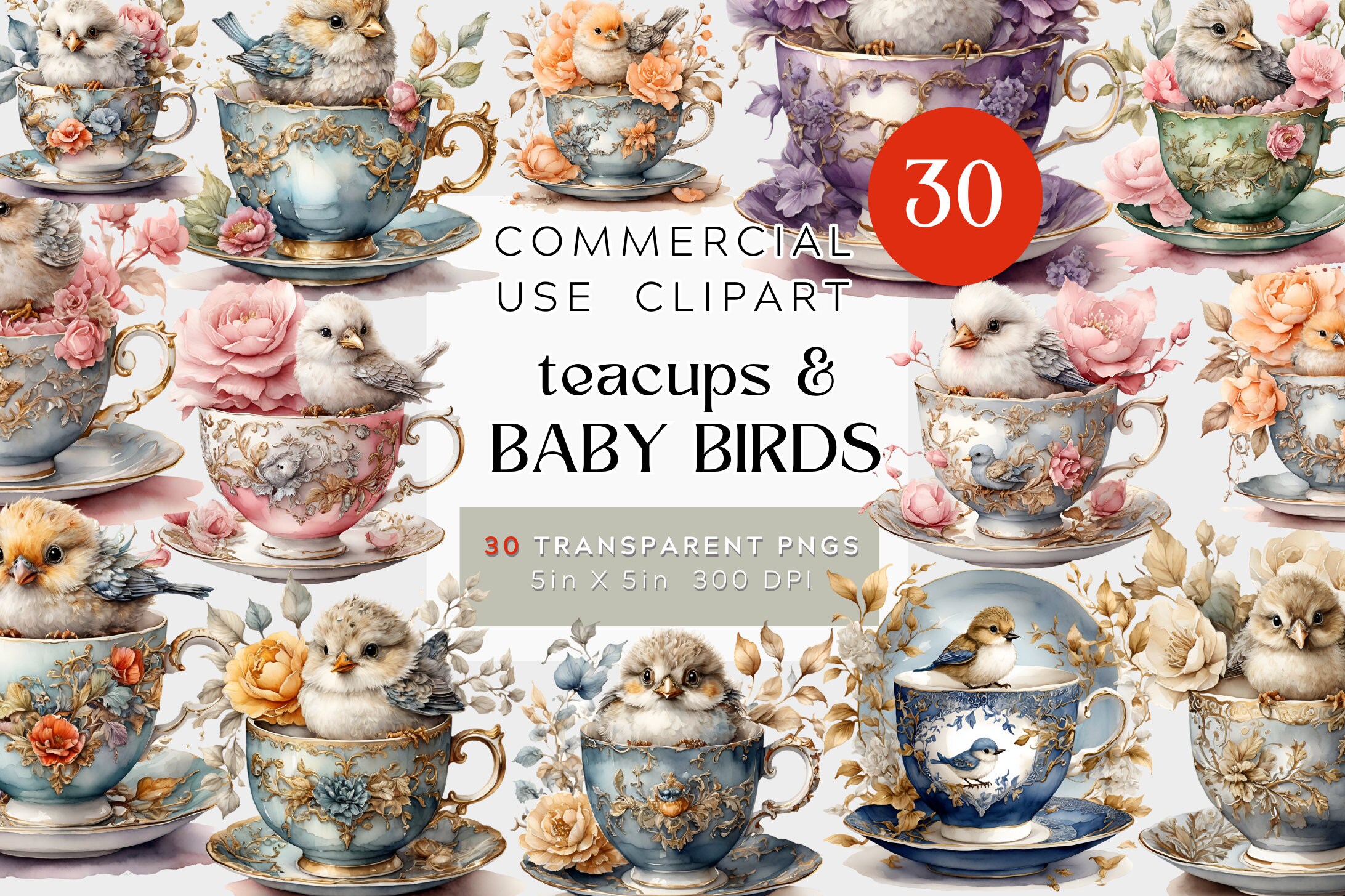 Baby Birds in Teacups, Watercolor Clipart BUNDLE PNG Transparent ...