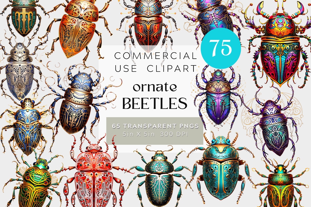 75 Ornate Beetle Graphic Design Bundle, Watercolor Illustration ...