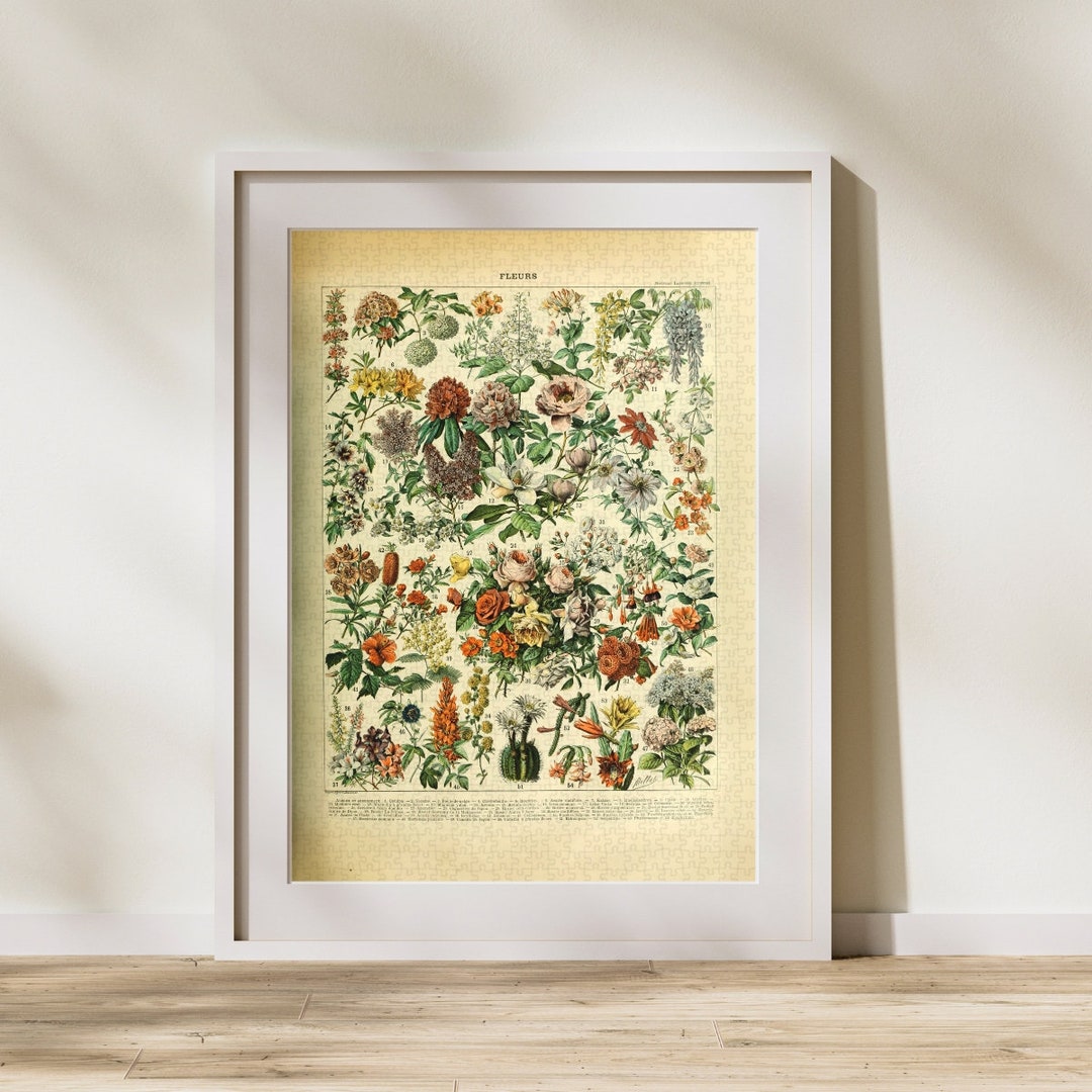 Flower Classification Jigsaw Puzzle 300/500/1000 Piece, Vintage ...