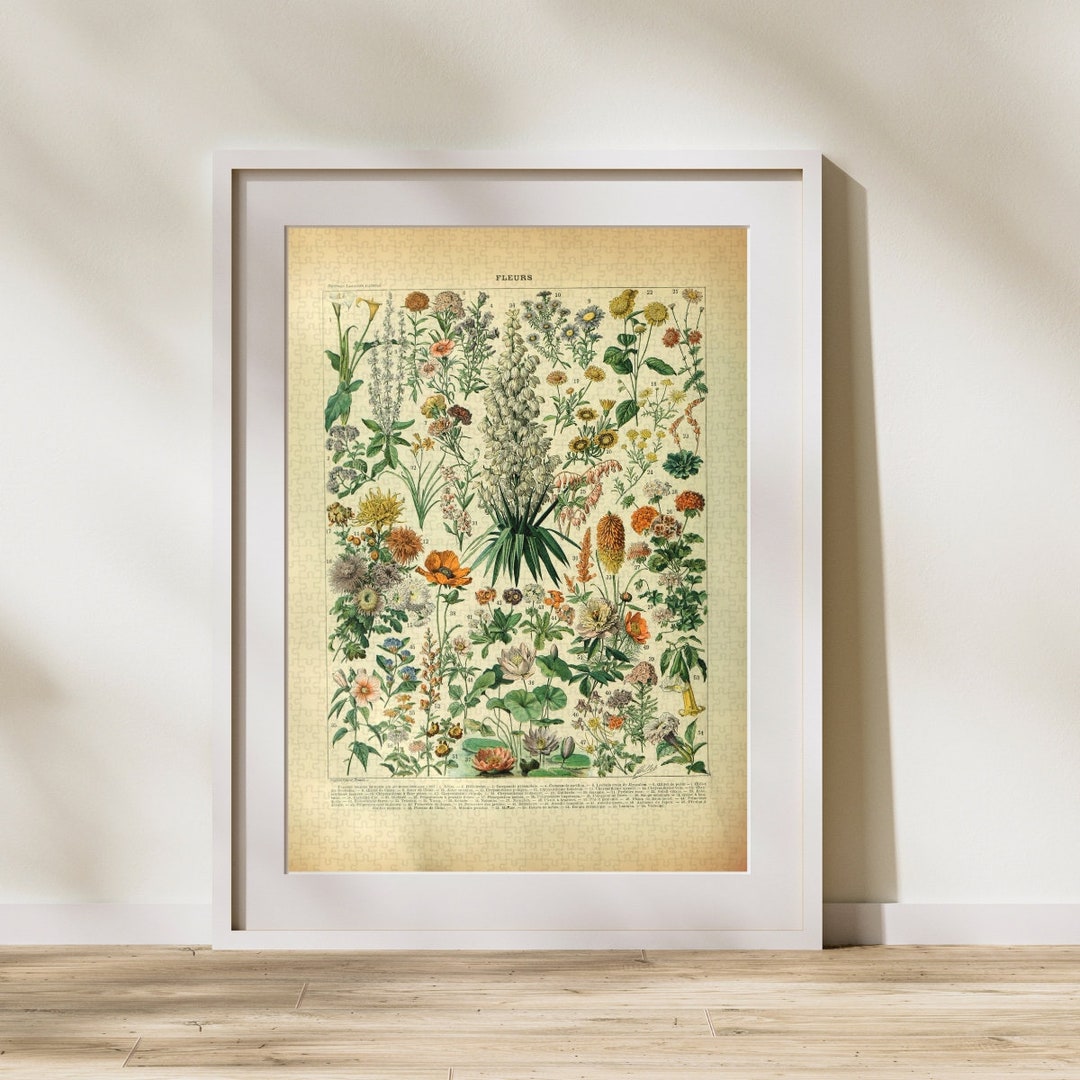 Flowers Classification Jigsaw Puzzle 300/500/1000 Piece, Vintage ...