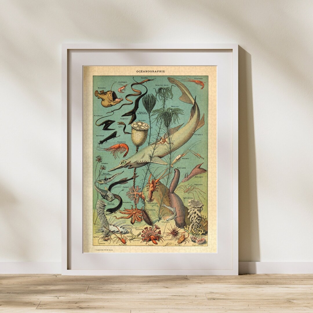Oceanography Illustration Jigsaw Puzzle 300/500/1000 Piece, Vintage ...