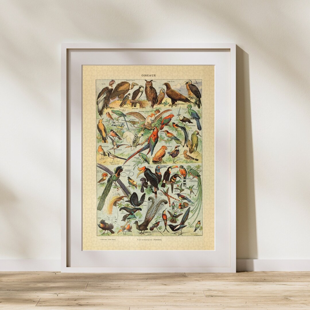 Bird Illustration Jigsaw Puzzle 300/500/1000 Piece, Vintage Educational ...