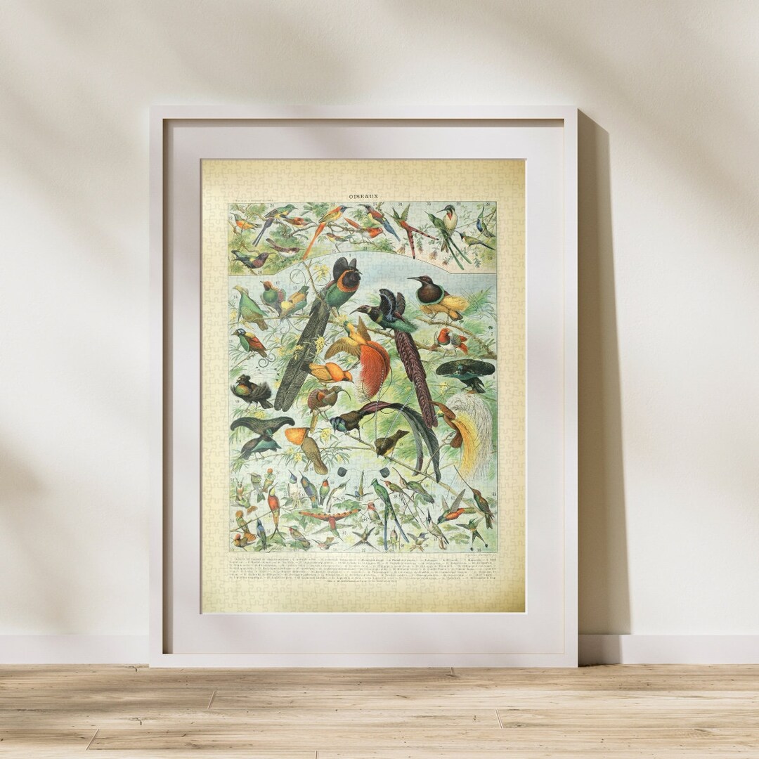 Bird Illustration Jigsaw Puzzle 300/500/1000 Piece, Vintage Educational ...