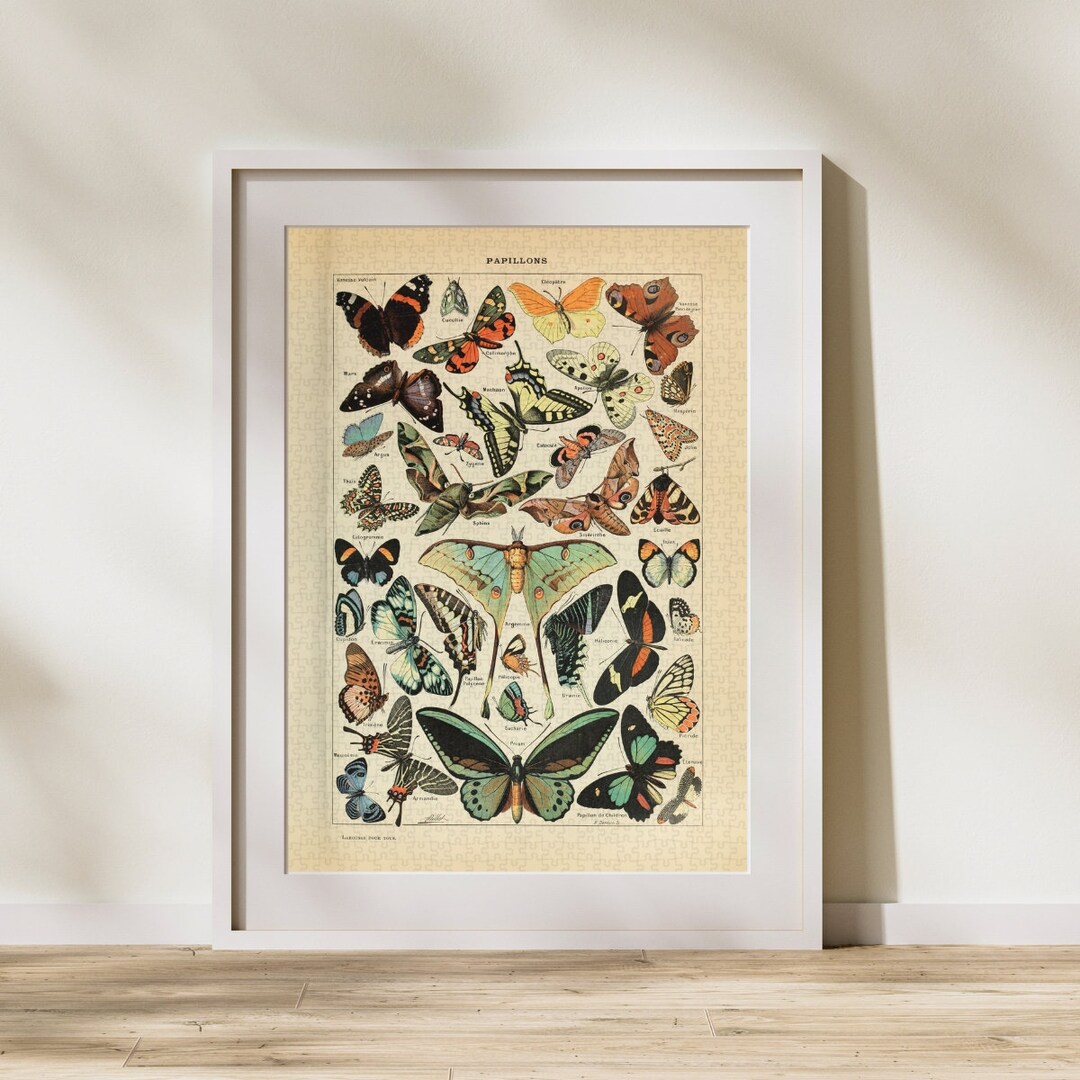 Butterfly Classification Jigsaw Puzzle 300/500/1000 Piece, Vintage ...