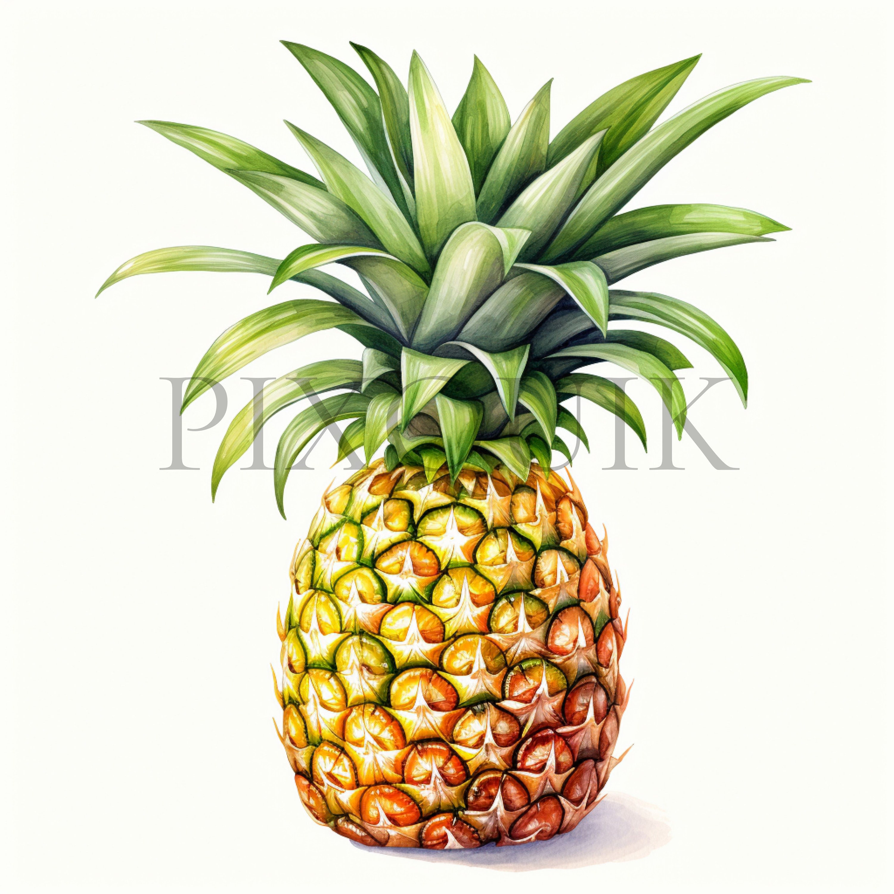 Watercolor Pineapple Clipart 10 High Quality Jpgs Fruit Clipart ...