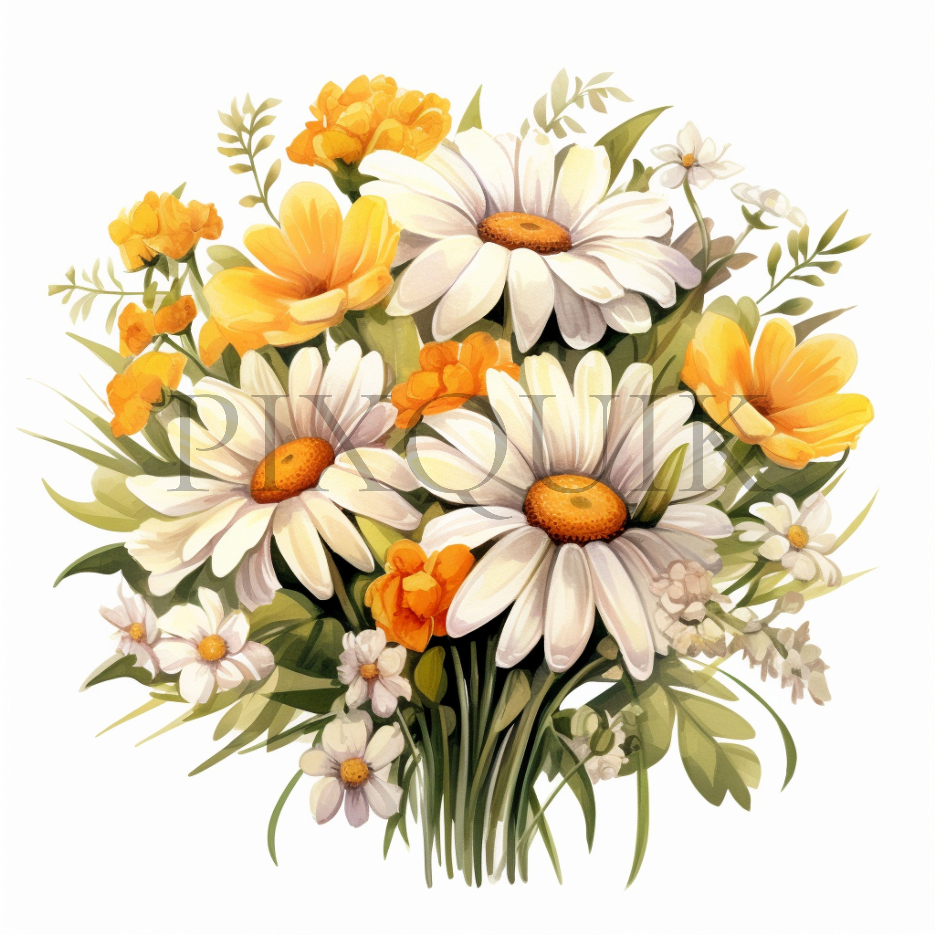 Bouquet of Daisies Clipart Set 10 High Quality Jpgs Daisy Flower Art ...