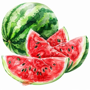 Watercolor Watermelon Clipart | Summer Fruit Jpgs (instant Download) - Etsy
