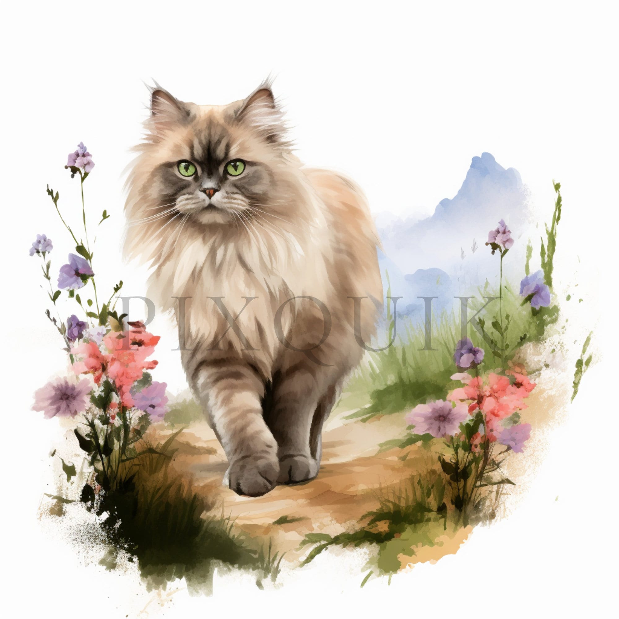 Himalayan Cat Watercolor Clipart | High-resolution Jpgs (digital ...