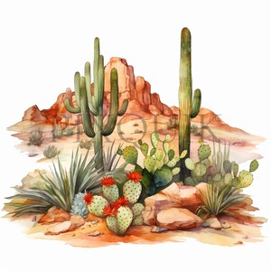 Watercolor Desert Plants Clipart | Cactus Art, Flora (jpgs) - Etsy