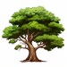 Mahogany Tree Clipart | High-resolution JPG (digital Download) - Etsy